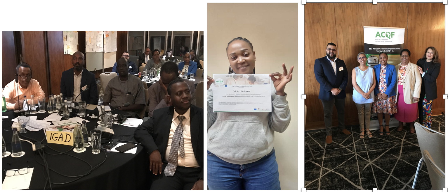 Micro-credentials. The lure of micro credentials: implications for the ...